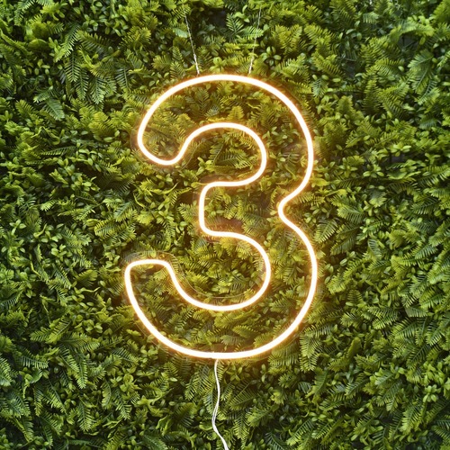 Painel Led Neon Número 3 50cm Neon Para Festas e Eventos | Shopee Brasil