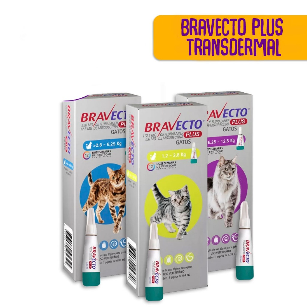 Bravecto Antipulgas e Carrapatos Transdermal Plus para Gatos - MSD - Todos os Tamanhos Pipeta ...