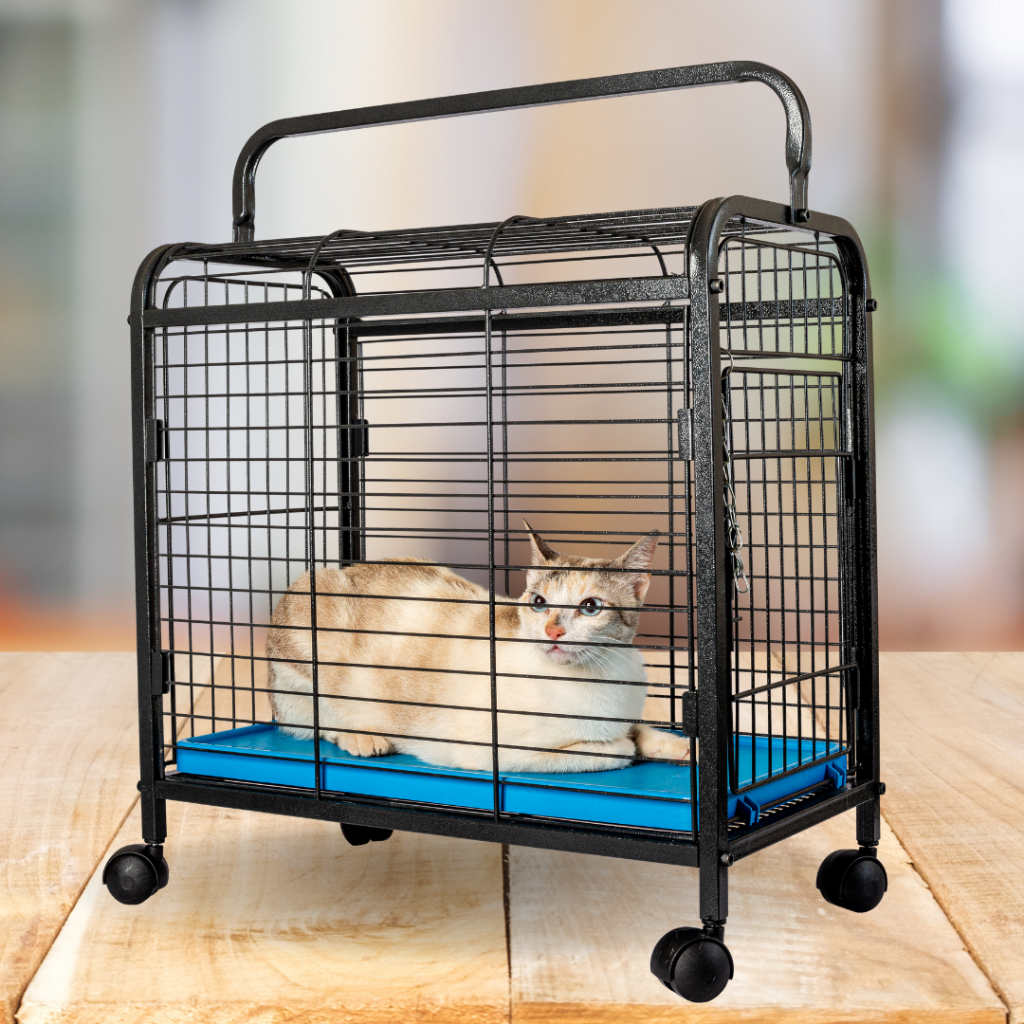 GAIOLA PARA TRANSPORTE GATO CACHORRO PET GRANDE E REFORÇADA | Shopee Brasil