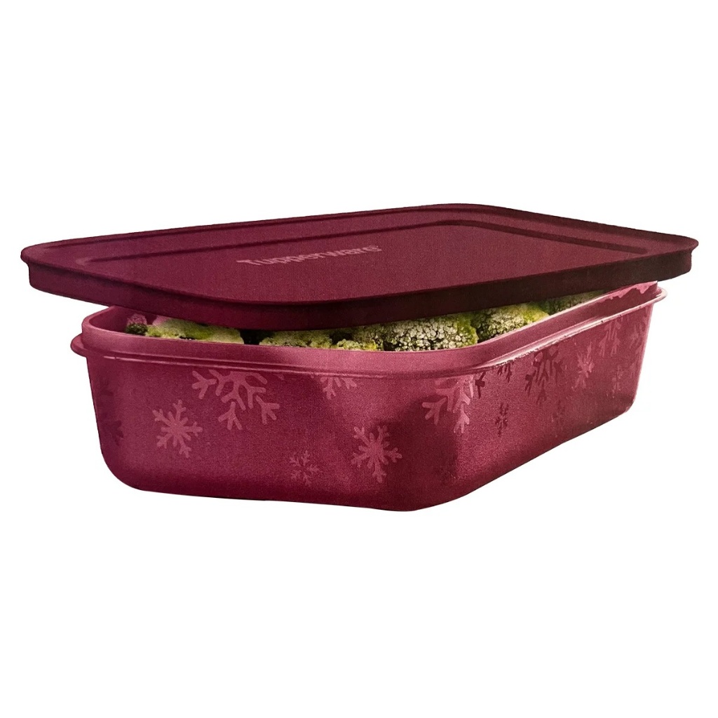 Freezer Line 1L | Shopee Brasil