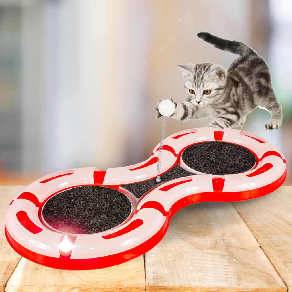 ARRANHADOR GATO PISTA COM BOLINHA ANTIESTRESSE BRINQUEDO PARA GATO ...