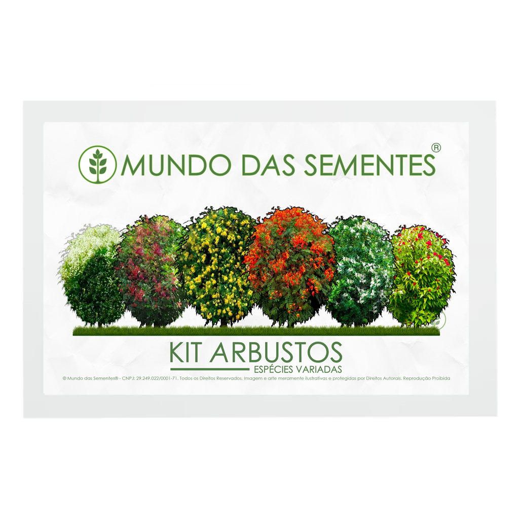 Kit Arbustos 60 Sementes Espécies Arbustivas Variadas | Premium | Mundo ...