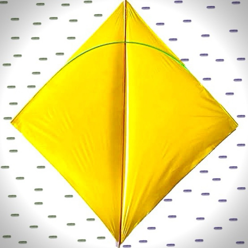 Pipas: Papagaio/Raias de plastico,sacola | Shopee Brasil