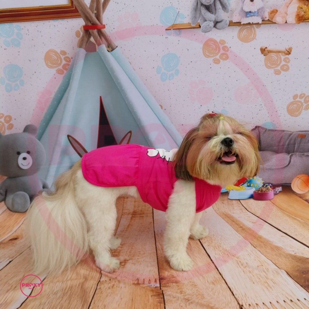 Roupa para cachorro fantasia Hello Kitty Rosa | Shopee Brasil