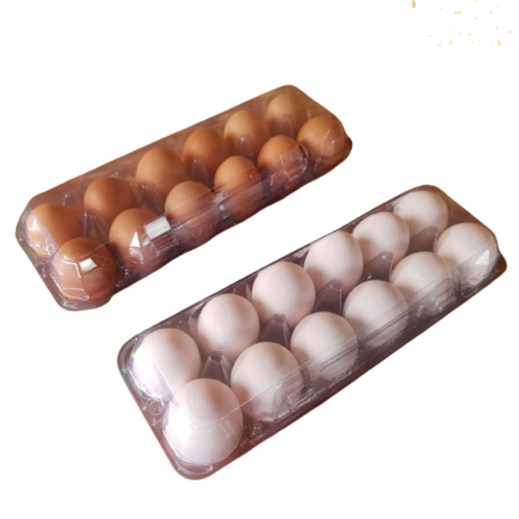 Embalagem para 12 ovos de galinha (10 cartelas) | Shopee Brasil