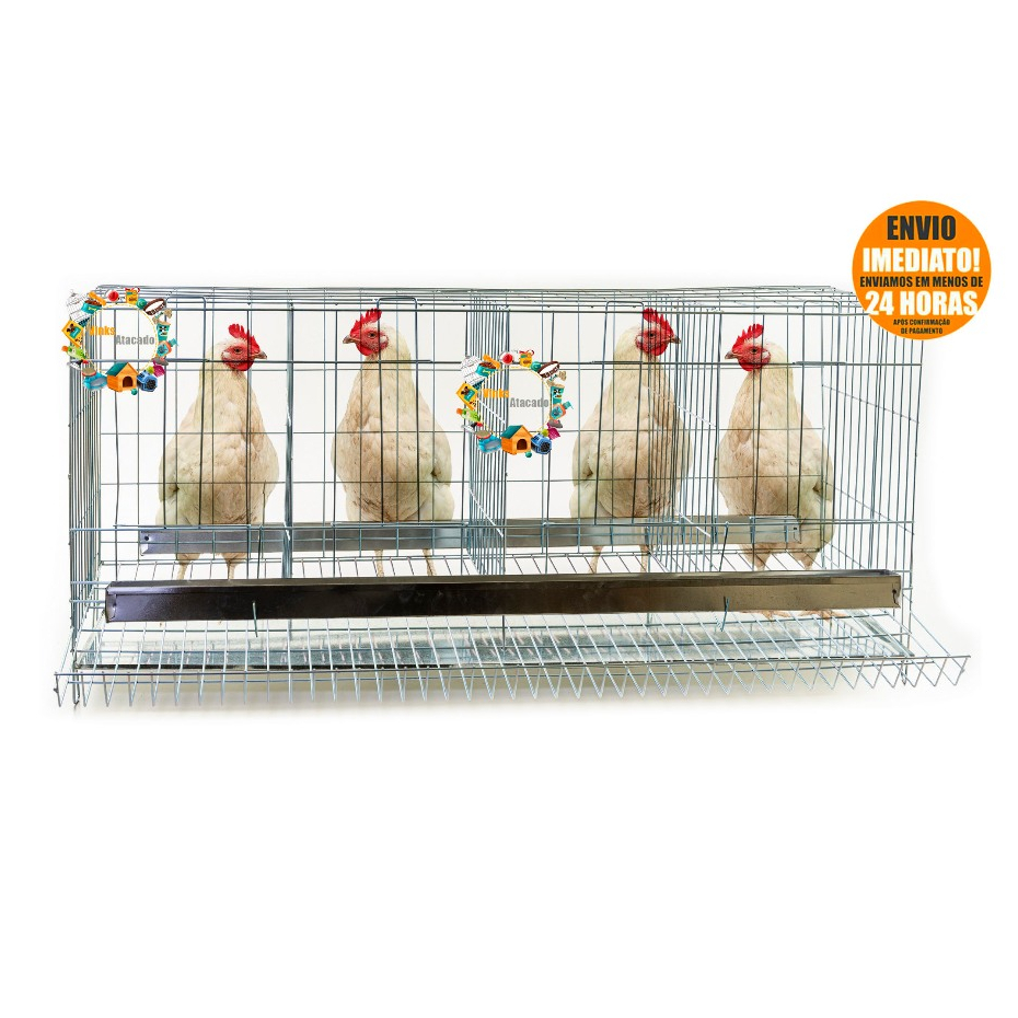 Gaiola GRANDE Para Galinha Poedeira 8 Aves Chapa Coletora De Ovos COM ...