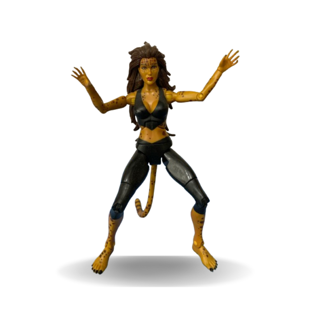 Miniatura Dc Mulher Leopardo (cheetah) Edição DC Action Figure | Shopee ...