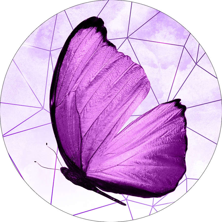 Painel De Festa Redondo Em Tecido - Borboleta Roxa 011 | Shopee Brasil