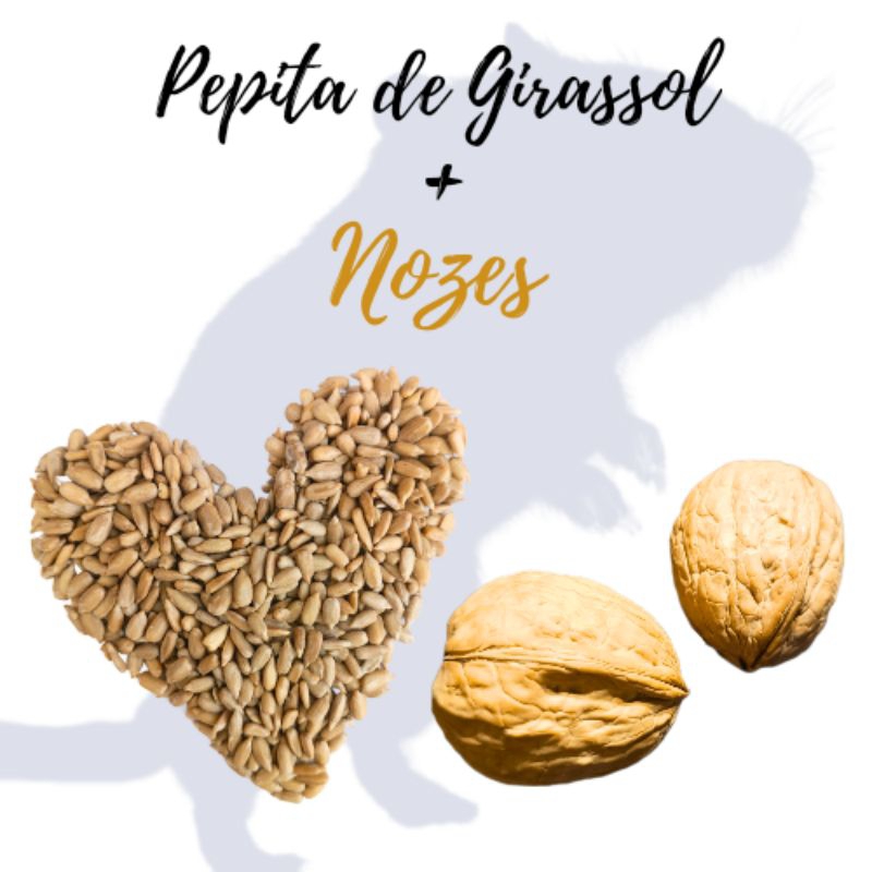 Kit petisco Premium, noz, nozes e semente de girassol sem casca ...