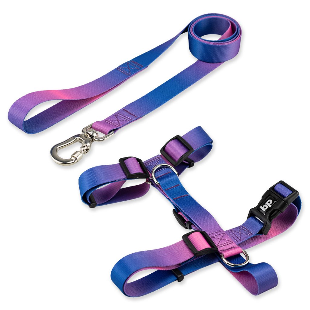 Kit Guia + Peitoral H para Cachorros Basic Pet | Shopee Brasil