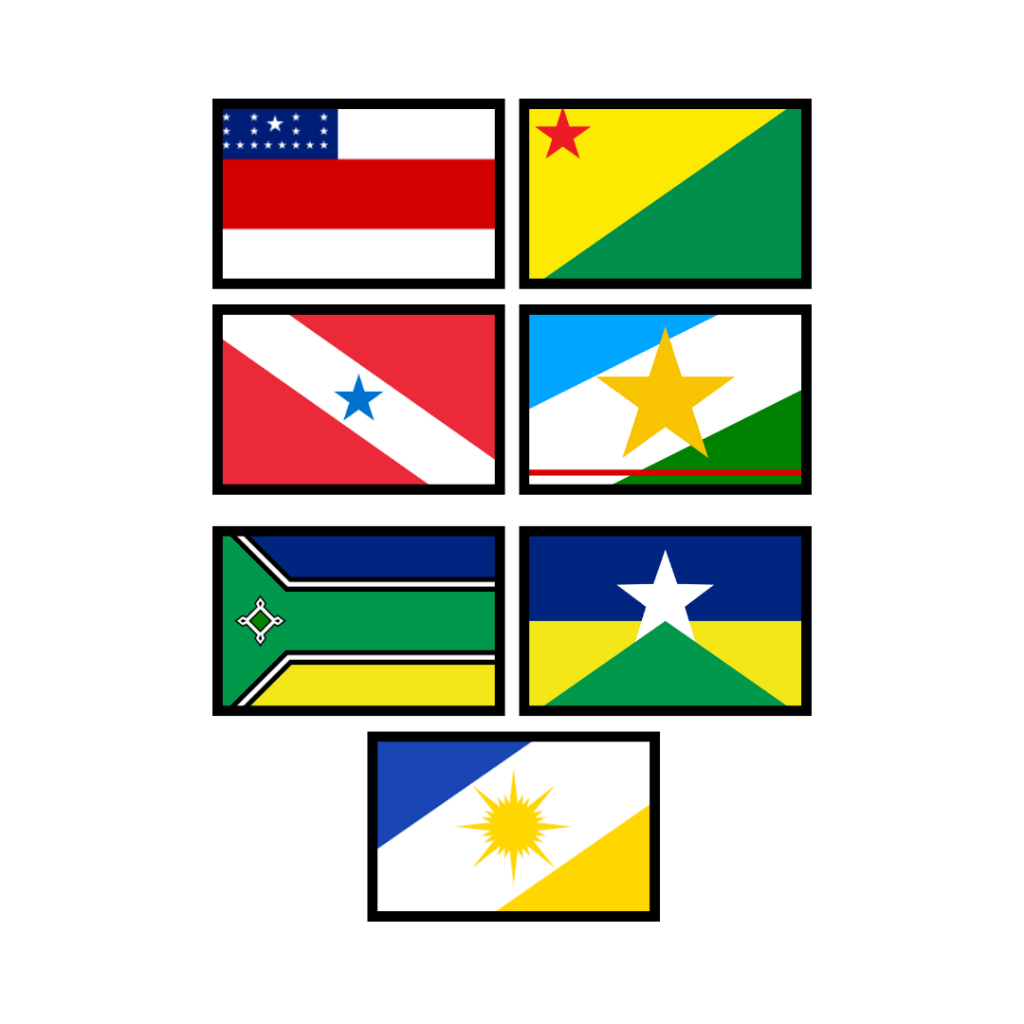 Kit Estados Região Norte Mini Bandeira Bordada Mochileiro | Shopee Brasil