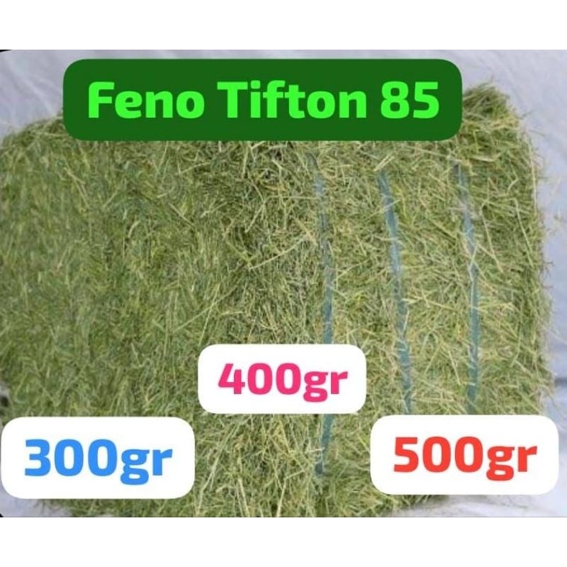 Feno Tifton 85 Verdinho para Roedores 100gr, 200gr e 300gr | Shopee Brasil