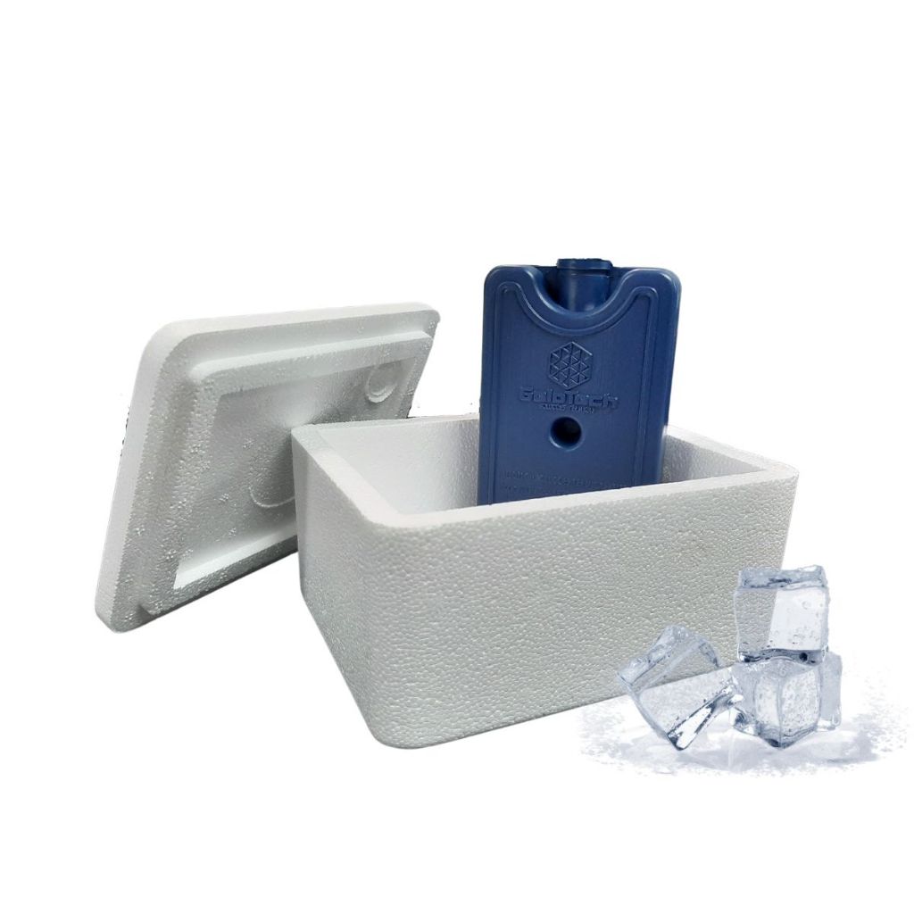 Kit Caixa Isopor 500ml Transporte Vacina Insulina 1 Gelo Rígido | Shopee Brasil