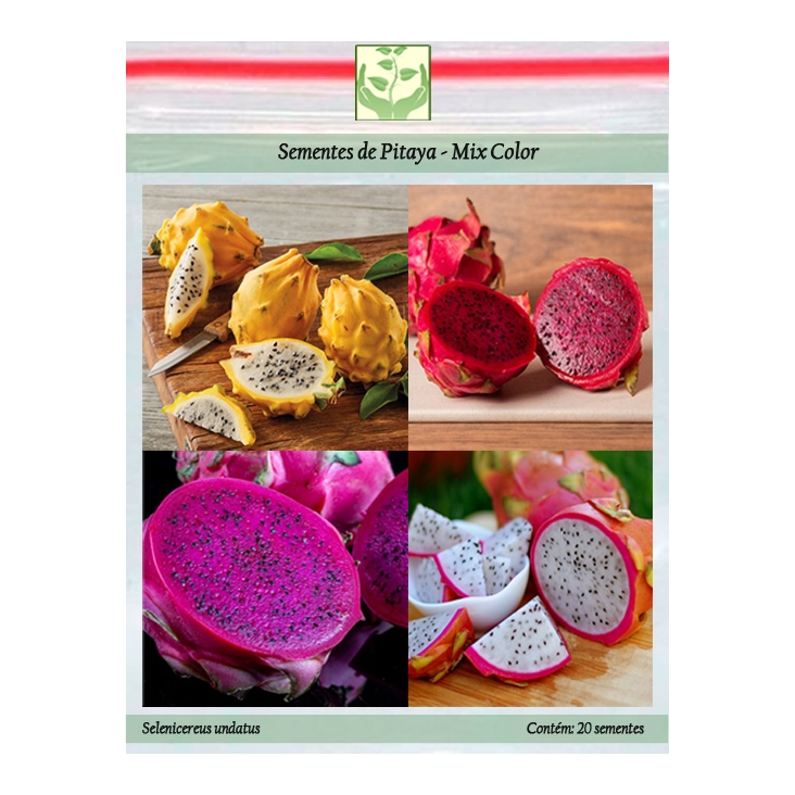 Sementes de Pitaya Mix Cores Variadas para plantio de Mudas da Fruta ...