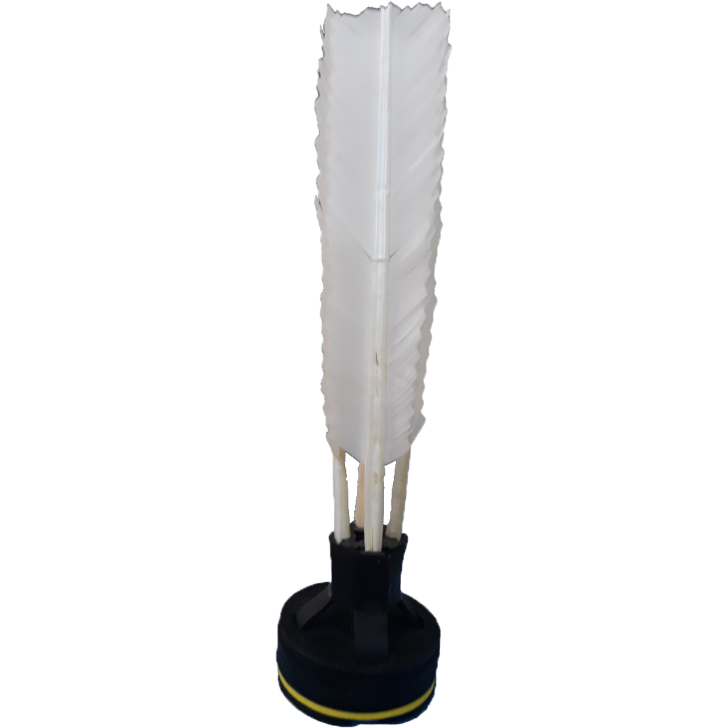 Peteca Profissional | Shopee Brasil