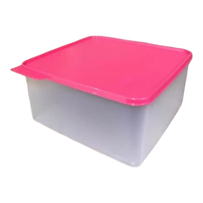 Pote Basic Line 5 L Tupperware | Shopee Brasil