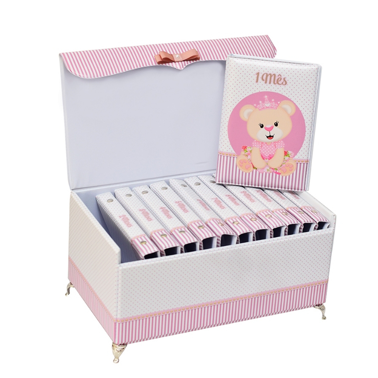 Álbum Box Mesversário Minha Princesa Ursinha 480 Fotos 10x15 | Shopee ...