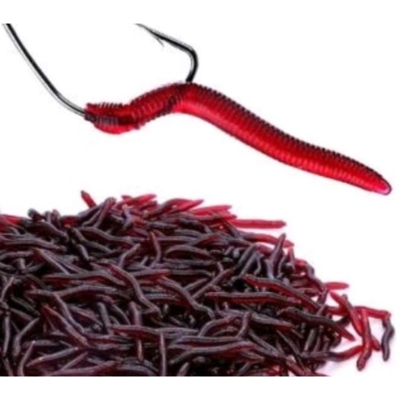 isca artificial minhoca kit 1 isca + 3 anzol para pesca de tilápia ...
