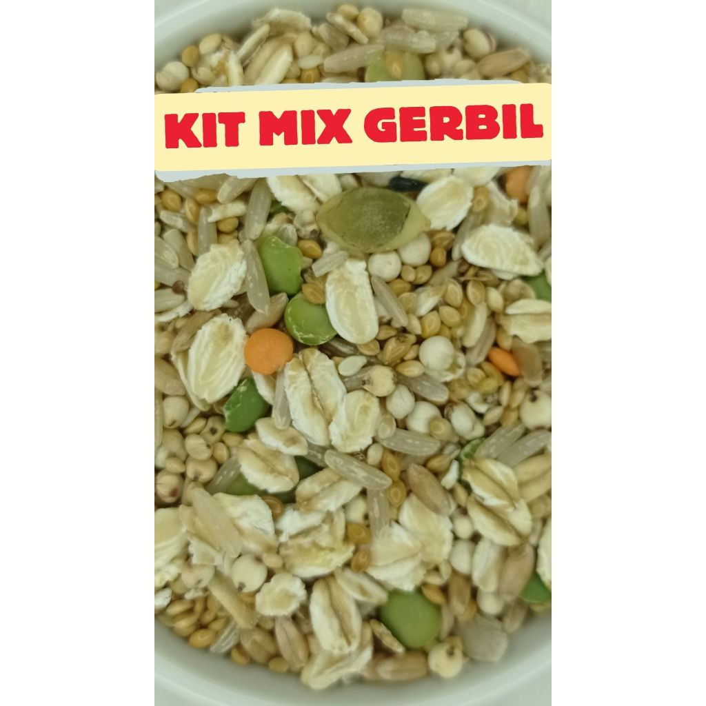 Kit Mix de Sementes Gerbil de 250gr | Shopee Brasil