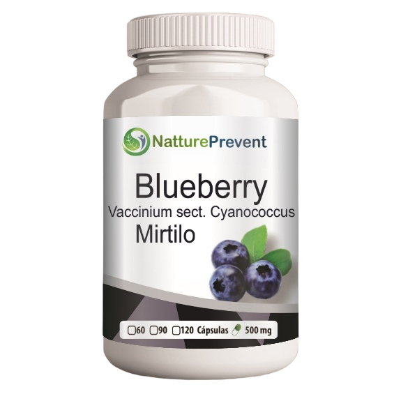 Blueberry 500mg 60 / 90 / 120 Cápsulas - Suplemento Alimentar Natural ...