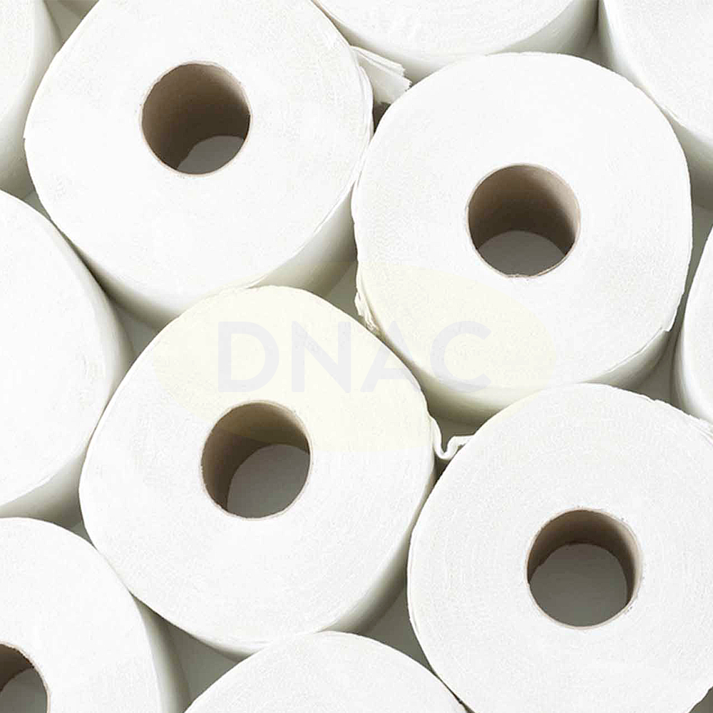 Fardo Papel Higiênico 8 Rolos Branco 100% Celulose - Xandy | Shopee Brasil