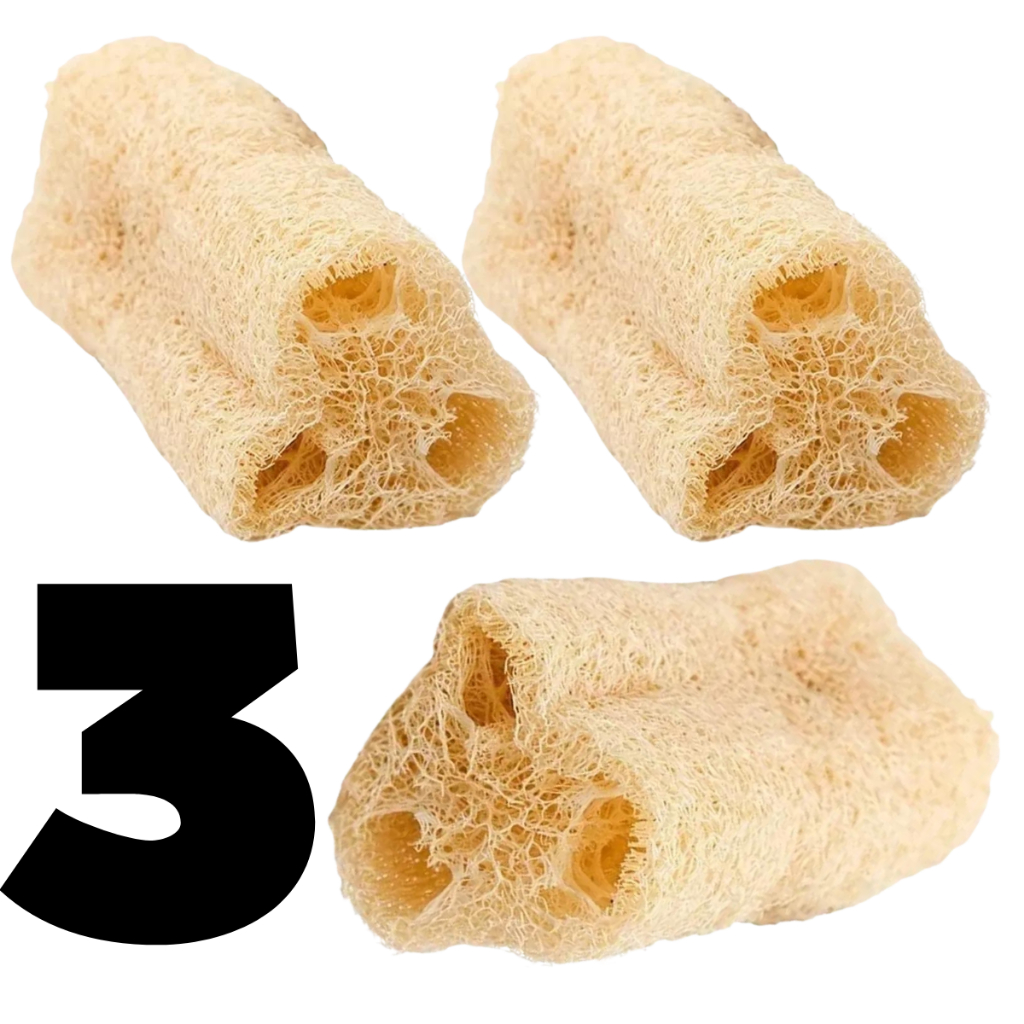 Bucha Vegetal Banho Esponja Natural para Limpeza em Geral 100% ...