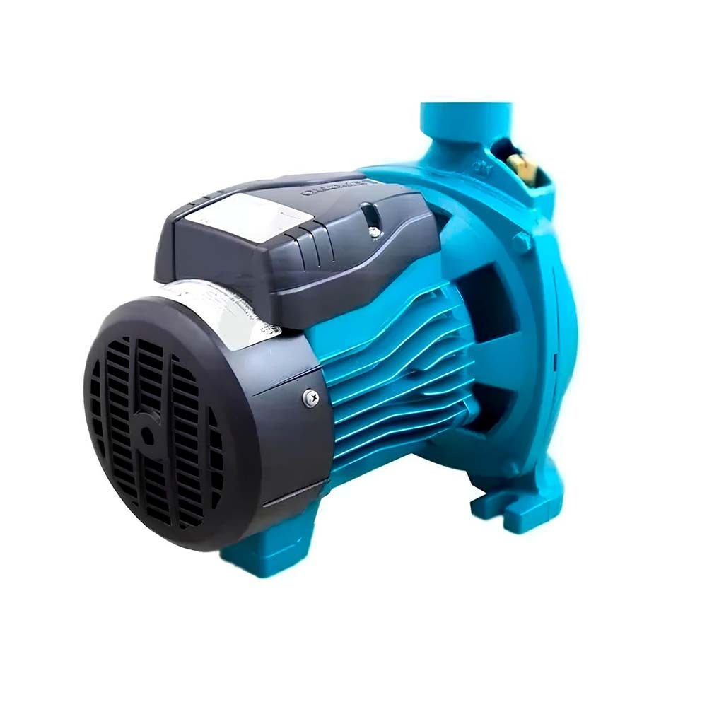 BOMBA CENTRIFUGA ACM75 1,0 HP MONO 220V PDR LEPONO | Shopee Brasil