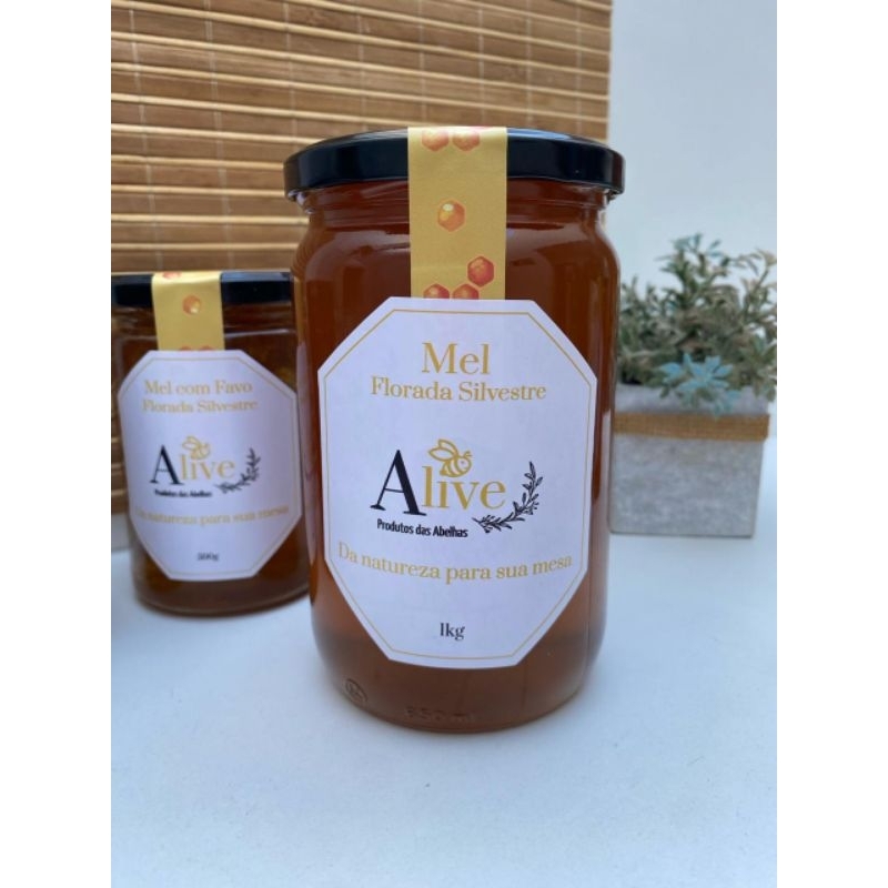 MEL PURO CRU 1KG EMBALAGEM VIDRO PRODUTO ARTESANAL | Shopee Brasil