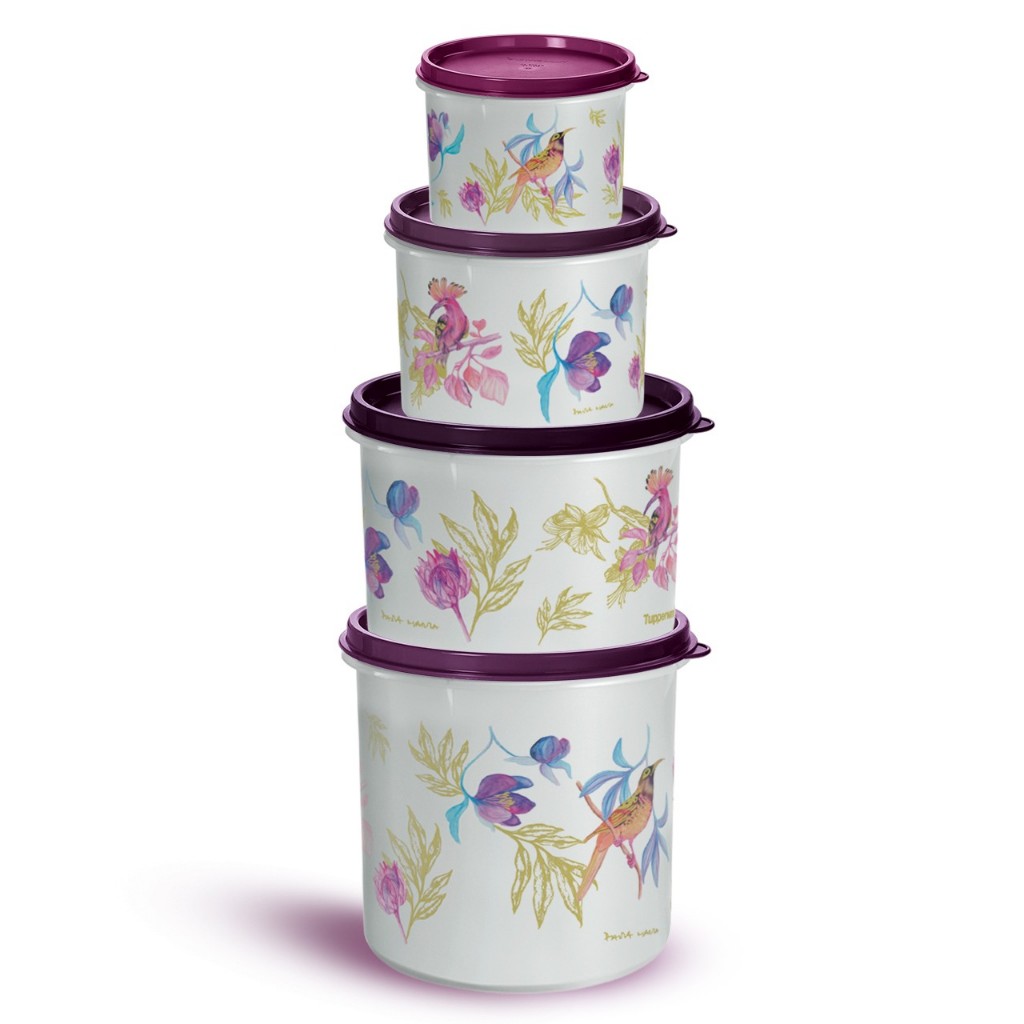 KIT 4 PEÇAS TUPPER CAIXA 3,7L + 2,4L + 1,1L + 500ML BOTÂNICA AQUARELA ...