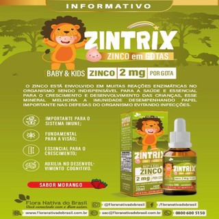 Kit 3x Zintrix Suplemento Infantil de Zinco (Zinco 2mg/gota) 20ml Sabor ...