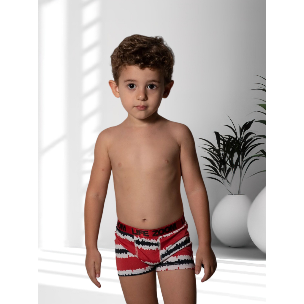 CUECA BOX INFANTIL BOXER ESTAMPADA - CORES E ESTAMPAS VARIADAS | Shopee ...