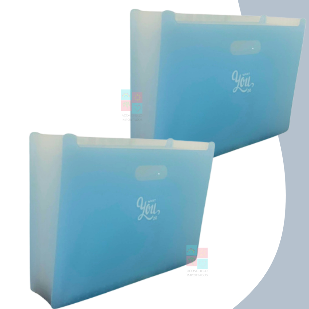Pastas Arquivo com Divisorias Kit Com 2 Pastas Sanfonada Documentos ...