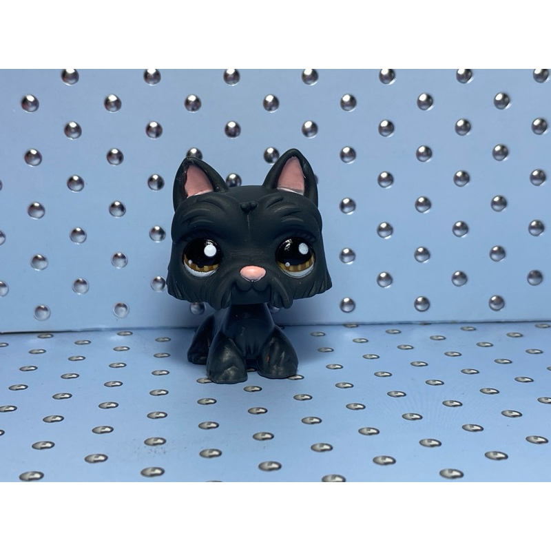 LPS - Scottie (Littlest Pet Shop) | Shopee Brasil