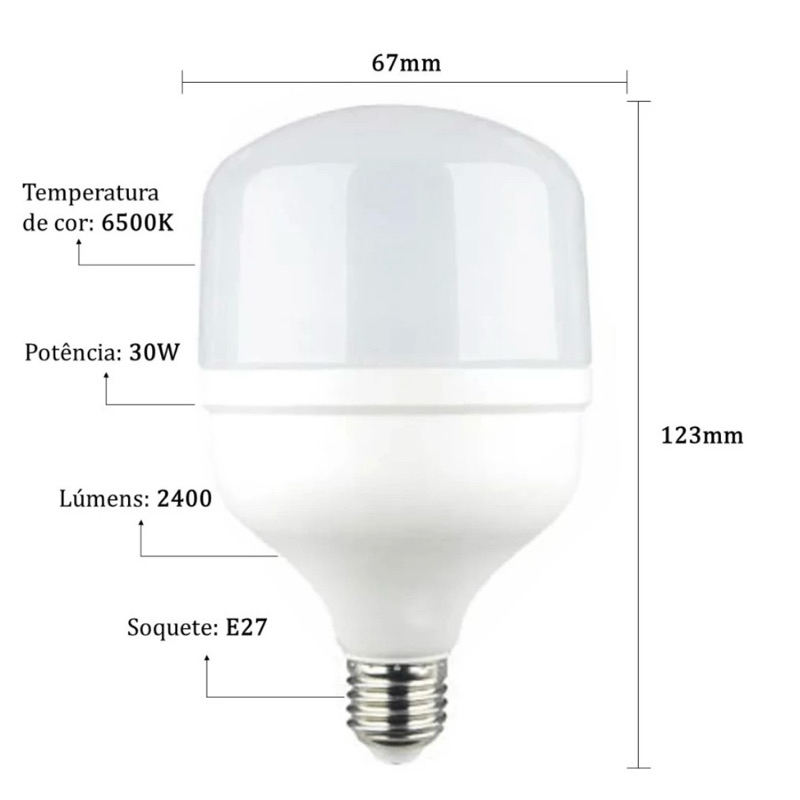 Kit 2 Lâmpada Led Bulbo 30w 6500k Branco Frio E27 Bivolt | Shopee Brasil