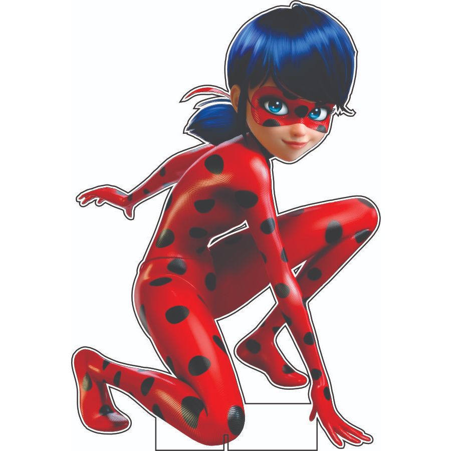 Display Lady Bug 60 cm | Shopee Brasil