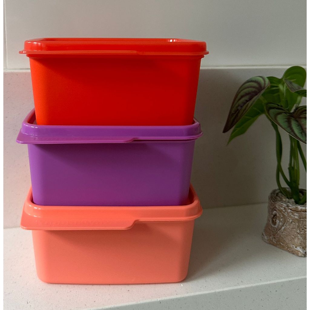 Pote Básic Line 500 ml Tupperware | Shopee Brasil