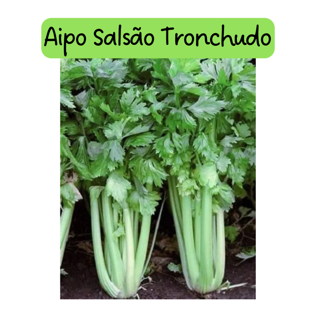 Aipo Salsão Tronchudo Semente Horta Tempero Erva Jardim Isla | Shopee Brasil