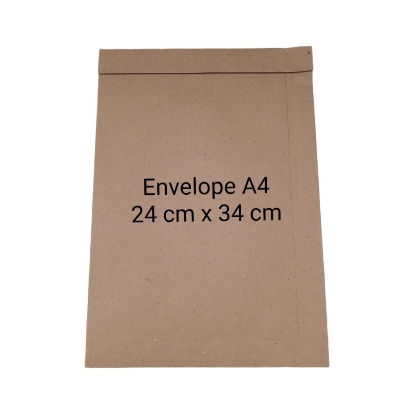 Envelope A4 kraft 24 cm x 34 cm para currículos e documentos kit 20 ...