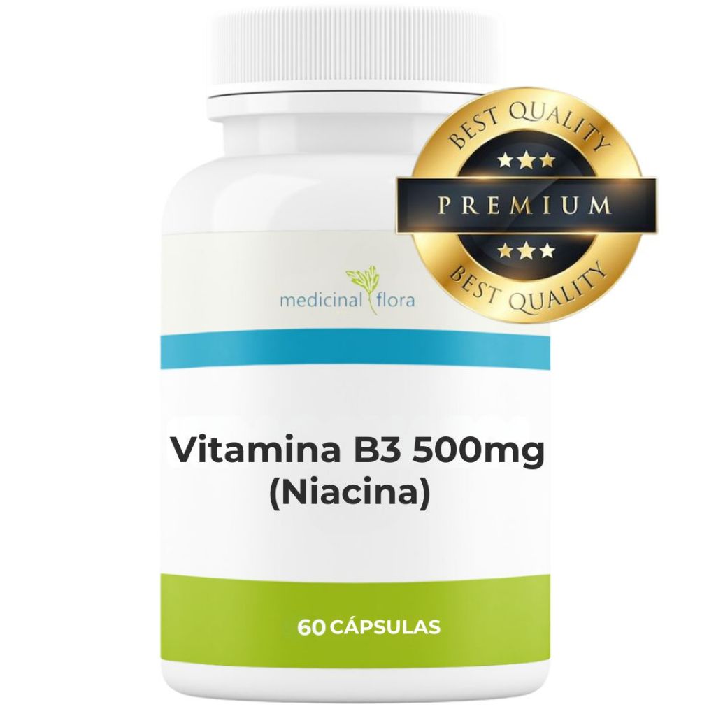 Vitamina B3 Niacina Nicotinamida 500mg - 60 Cápsulas | Shopee Brasil