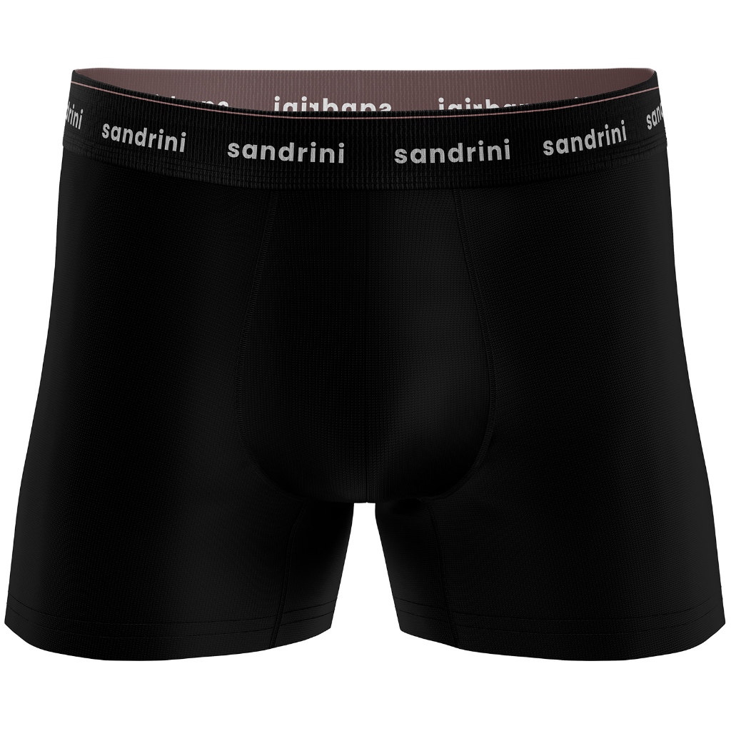 Kit 10 Cuecas Boxer Crianças Malha Infantil Sandrini | Shopee Brasil