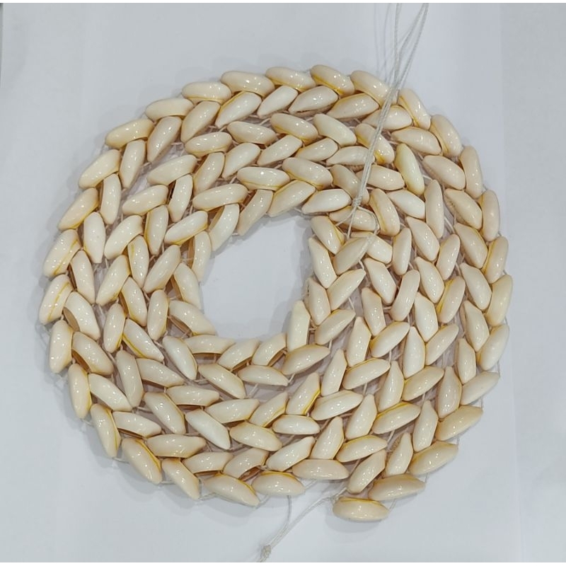Brajá de Búzios Naturais 1 metro e 20cm | Shopee Brasil