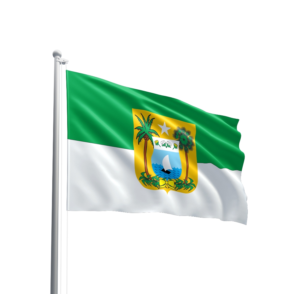 Bandeira Estado Rio Grande Do Norte Oxford 140x80cm Oficial | Shopee Brasil
