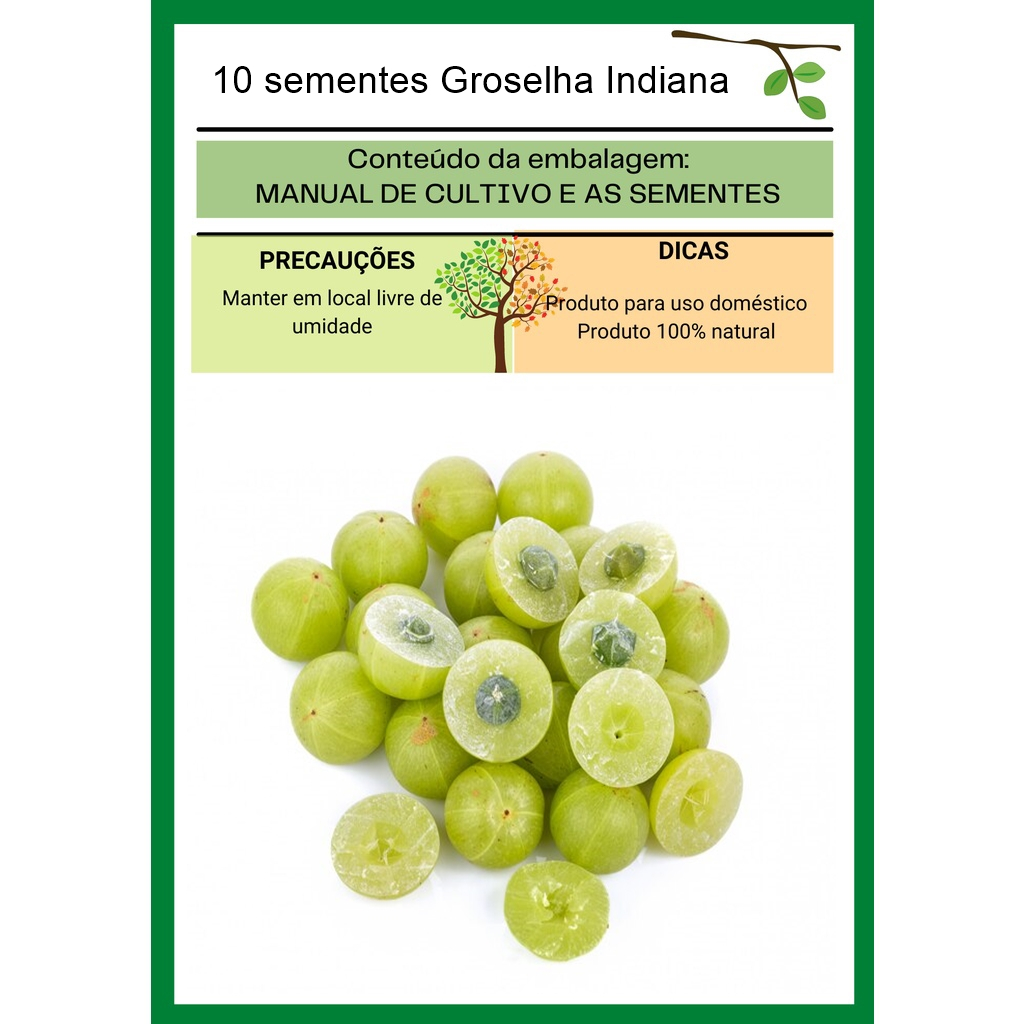 Groselha Indiana Fruta Phyllanthus Emblica Amla 10 Sementes | Shopee Brasil