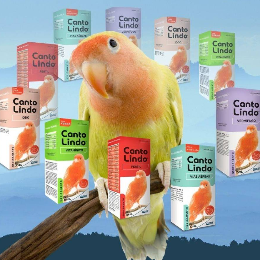 Canto Lindo Pássaros Vitamínico Canto Vermífugo PROVETS | Shopee Brasil Canto Lindo Pássaros Vitamínico Canto Vermífugo PROVETS | Shopee Brasil