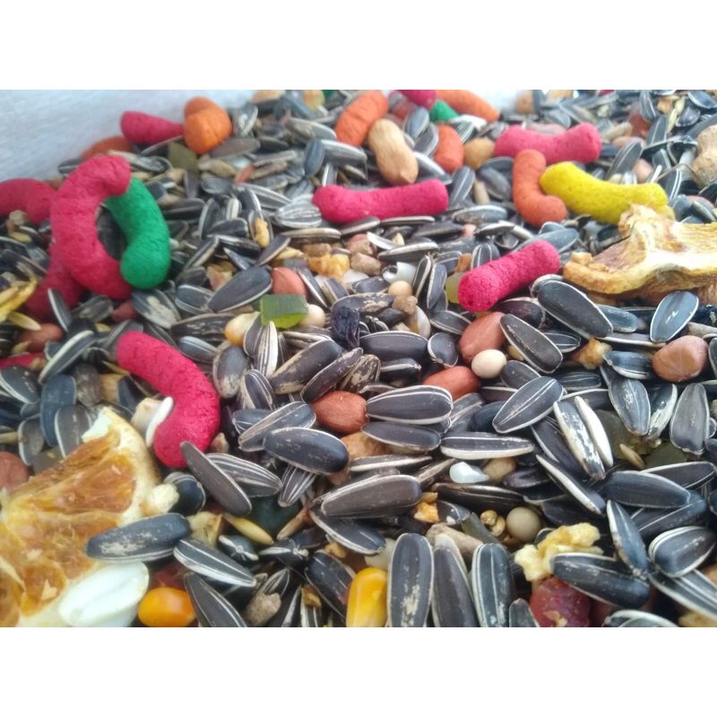 mistura-de-sementes-para-papagaios-araras-cacatuas-5-kgs-shopee-brasil