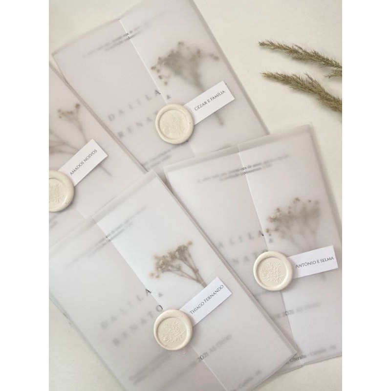 Envelope Transparente/Translúcido Liso para seu evento. | Shopee Brasil