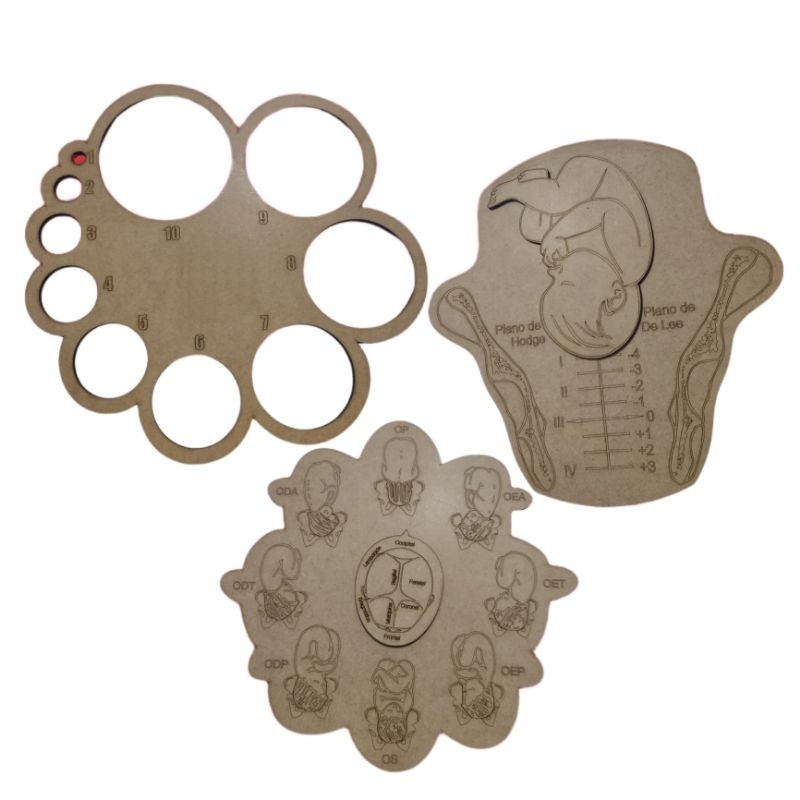 Conjunto completo de Réguas Didáticas para Educação Perinatal: Plano de ...