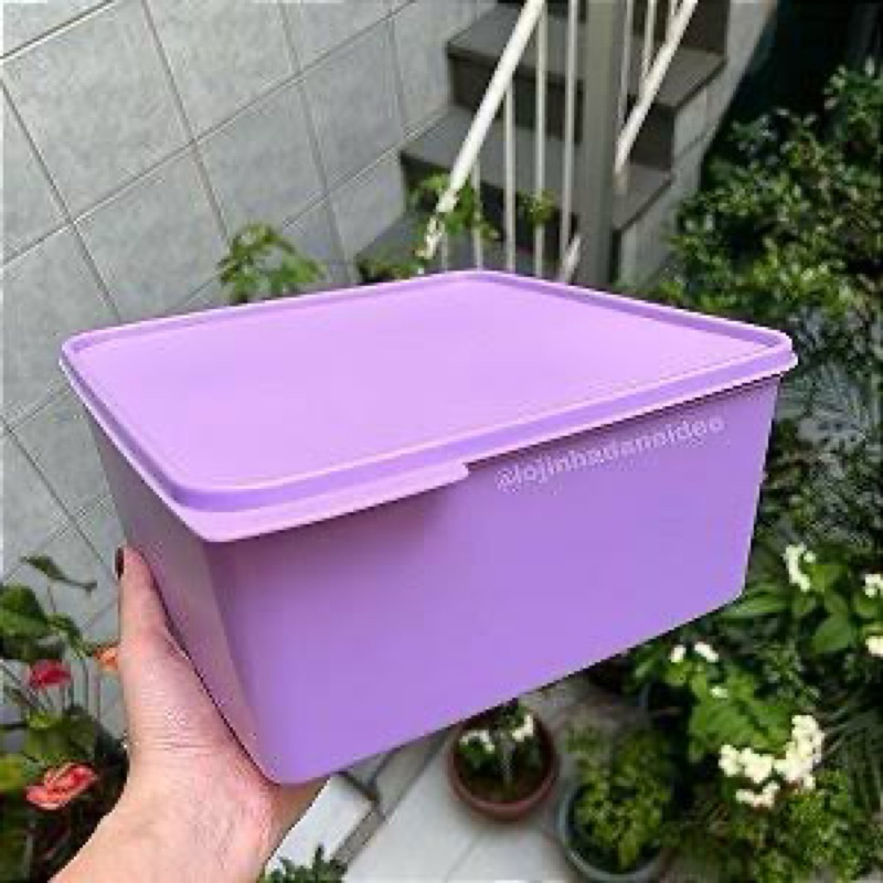 Basic Line 5 litros chiclete tupperware | Shopee Brasil