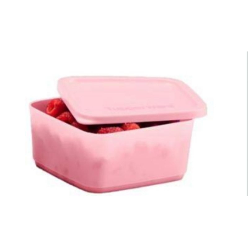 Tupperware Refri Line Quadrado 650 ml | Shopee Brasil