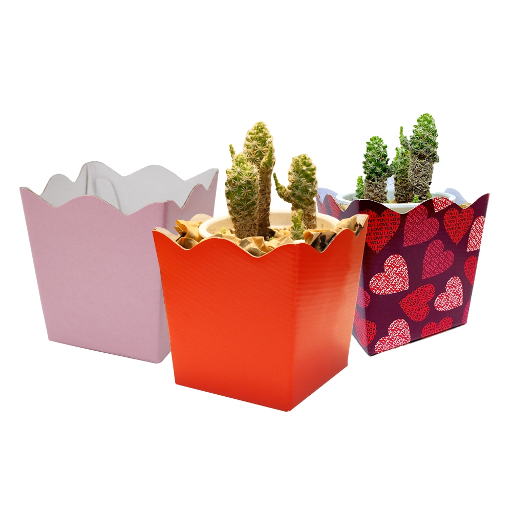 Cachepot de papel cartonado, kit com 10 unidades montados.direto de ...